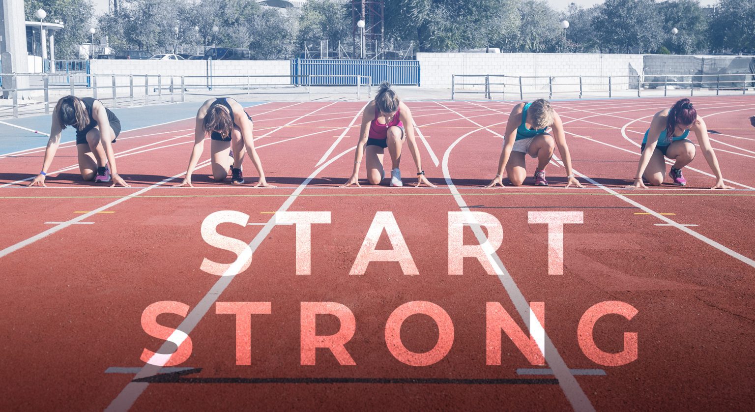 Edmonton SEO and Digital Marketing Agency | Top Draw Inc